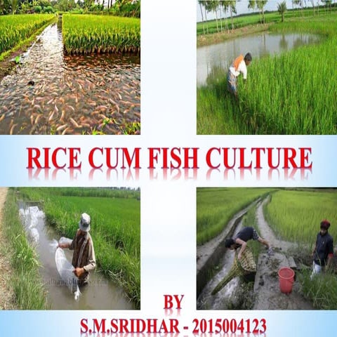 Integrated fish farming system | PPTX