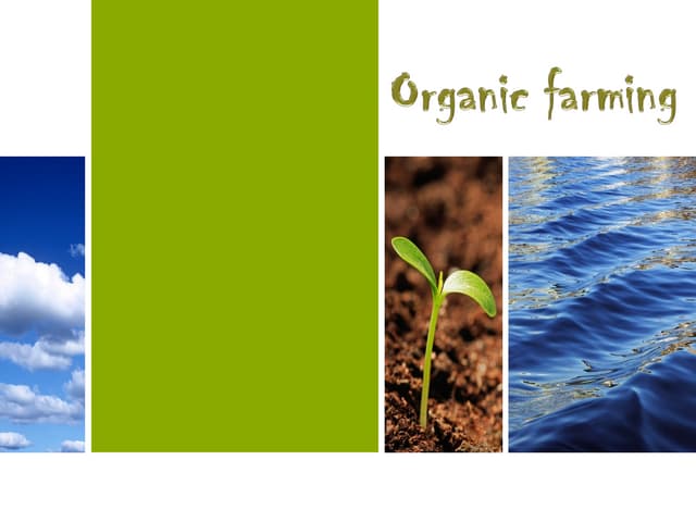 Organic farming Powerpoint presentation | PPTX