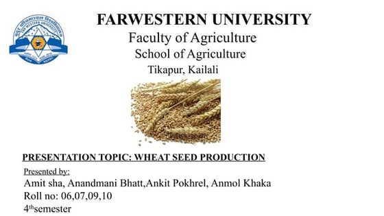 Production technology for cumbu napier | PPT