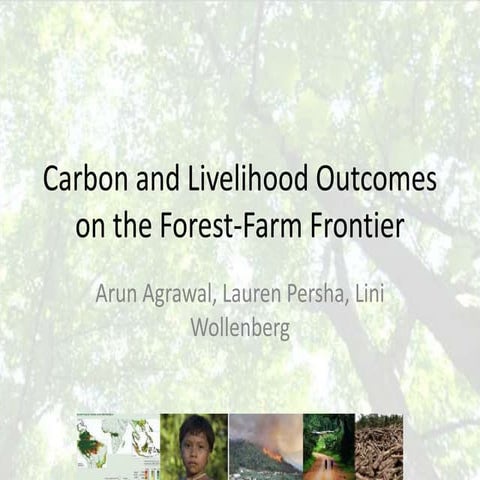 Carbon and Livelihood Outcomes on the Forest-Farm Frontier | PPTX