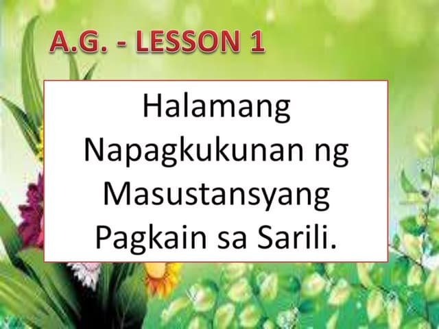 3 pangkat ng pagkain | PDF