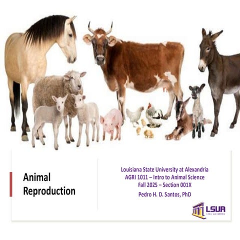 Introduction to Animal Reproduction Class | PDF