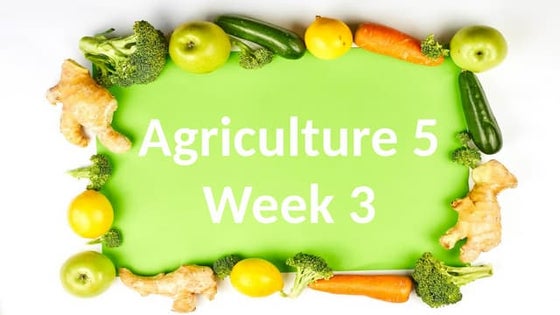 Pagtatanim ng gulay.pptx