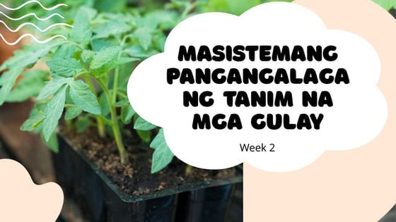 Epp 6 aralin 2 mga kagamitan at paraan sa pagtatanim | PPT