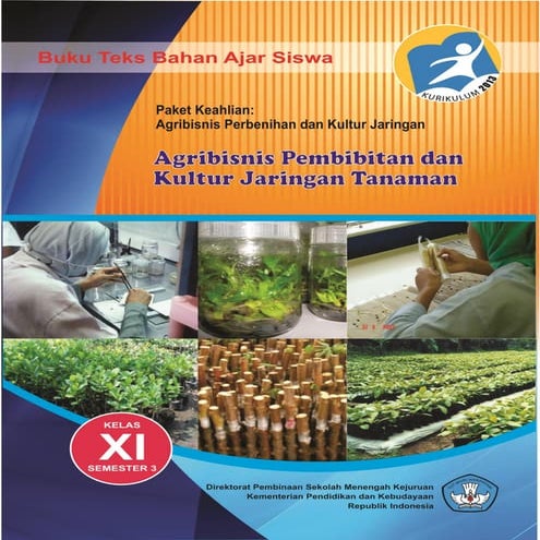 Agribisnis pembibitan dan kultur jaringan xi 3 | PDF