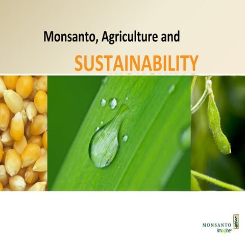 Agribusiness monsanto | PPTX