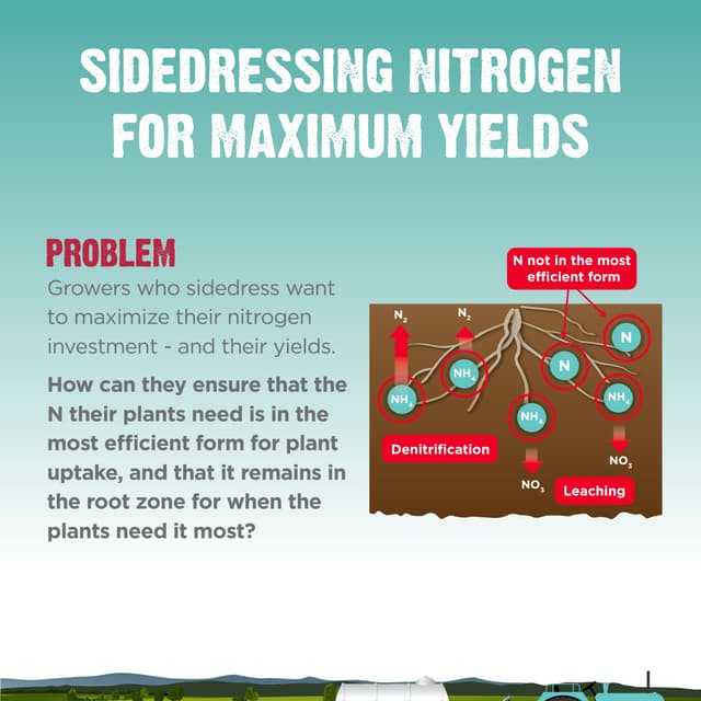 Sidedressing Nitrogen for Maximum Yields Infographic | PDF