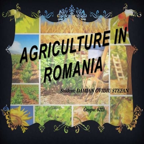 Agricultura in romania damian ovidiu stefan | PPTX