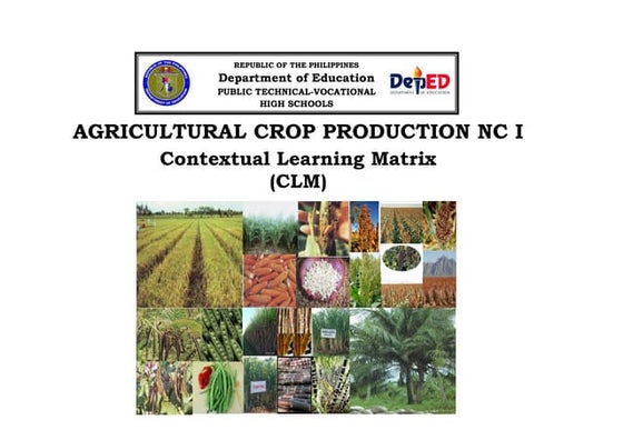 3. MARCOTTING - Copy.docx | Agriculture | Industries