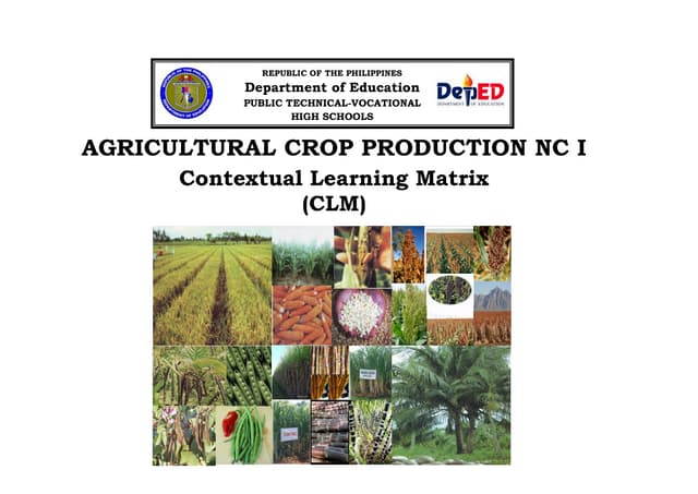 K to 12 TLE Curriculum Guide for Agricultural Crop Production | PDF