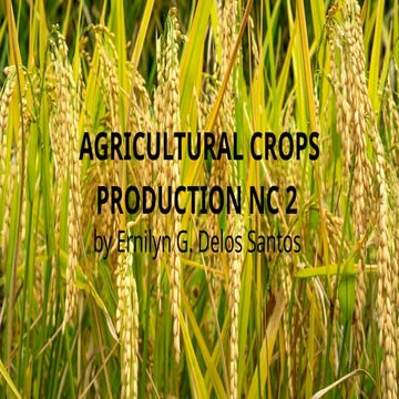 Agricultural_Crops_Production_NC_2_ReportMCLTE6_Ernilyn_linn.pptx