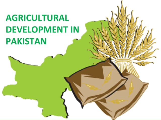 Problems of Agriculture in Pakistan 2024.ppt | Agriculture | Industries