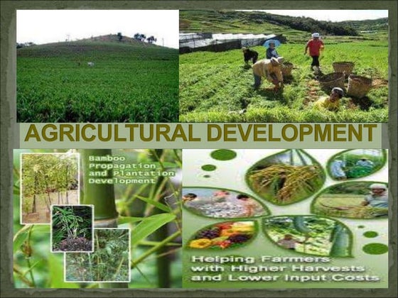 Agricultural Transformation and Rural Development | PPT