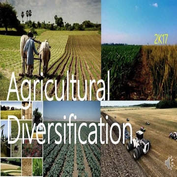 Agricultural diversification | PPTX