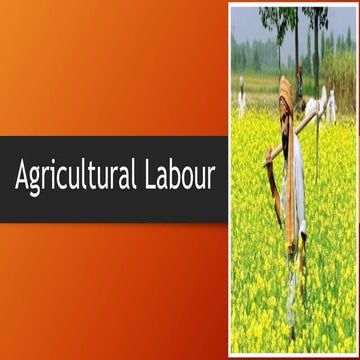 Agricultural Labour | PPTX | Agriculture | Industries