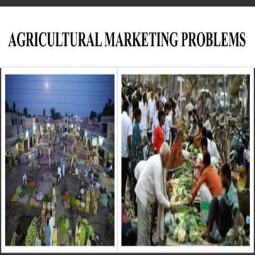 Agricultural marketing problems | PPTX