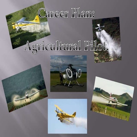 Agricultural pilot | PPTX