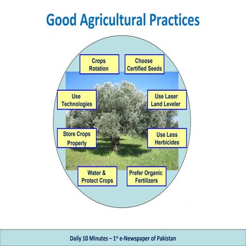 Good Agricultural Practices | PPT