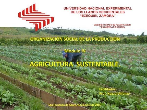 Manejo Integrado De Cultivos