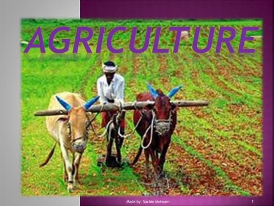Agriculture and non agriculture sectors of economy | PPTX | Agriculture ...