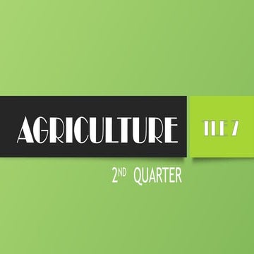 AGRICULTURE IN THE FIELD OF AGRIBUSNESS.pptx