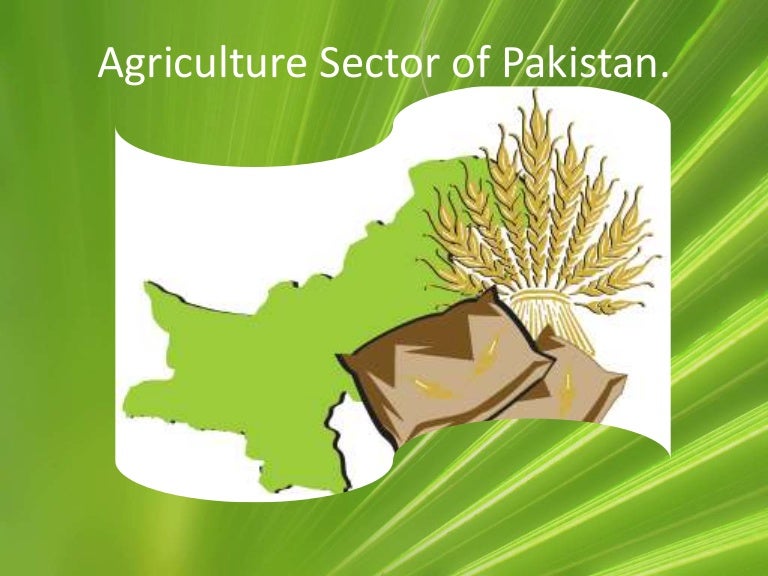 Agriculture Sector Of Pakistan