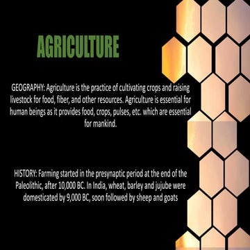 AGRICULTURE for school or office use.pptx