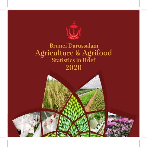 Agriculture and Agrifood Statistic 2020-1.pdf
