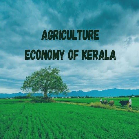 Agriculture economy of Kerala presentation .pdf
