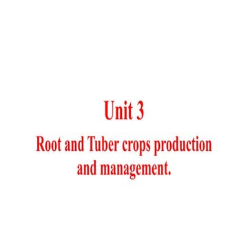 Chapter 5 Development and Geography.pptx