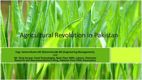 agricultural problems in Pakistan | PPTX | Agriculture | Industries