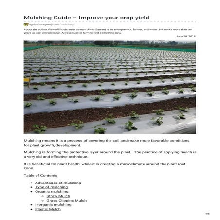 Mulching guide improve your crop yield | PDF