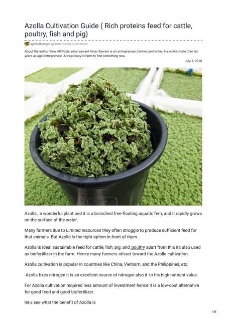 Azolla production | PPTX | Agriculture | Industries
