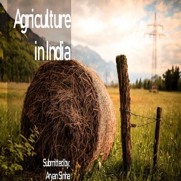 Agriculture in India_ Industry Overview, Market Size.pptx
