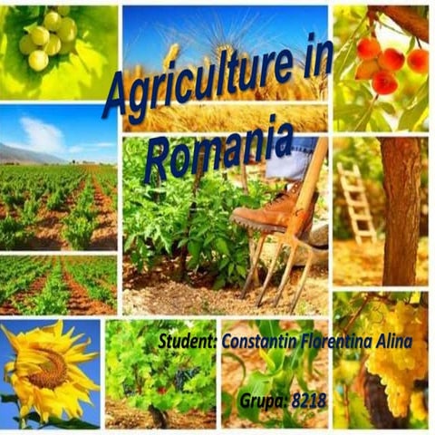 Agriculture in romania | PPTX