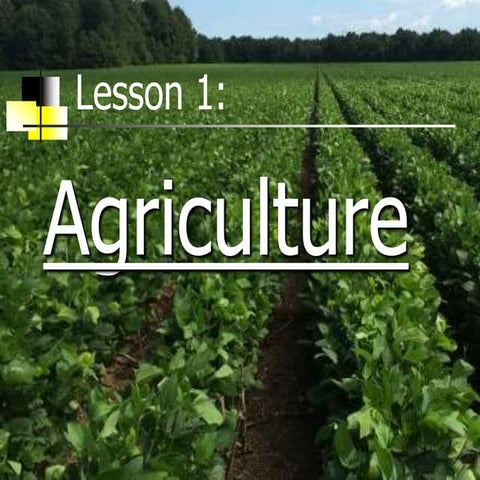 AGRICULTURE power point presentations just | PPTX