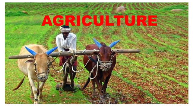 AGRICULTURAL SEASONS & CROPPING PATTERN.ppt