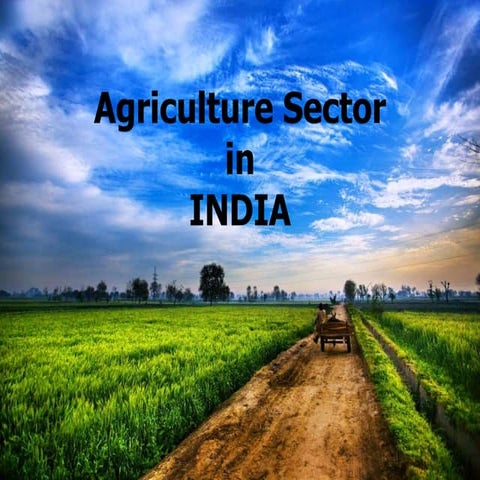 Indian farmer presentation | PPTX