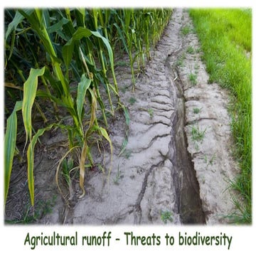 Agricultural Runoff