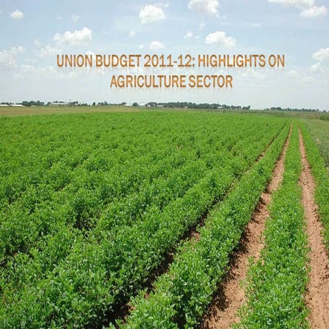 Agriculture sector budget | PPT