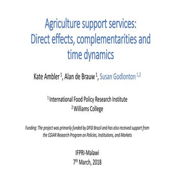 Agriculture support services direct effects, complementarities and time ...