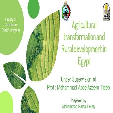 Agriculture transformation .pdf