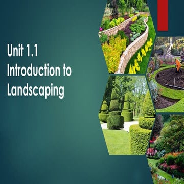 Elements of landscape | PPTX