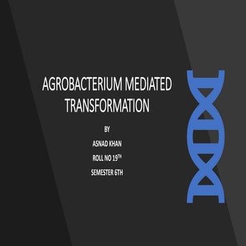 Agrobacterium mediated transformation | PPTX