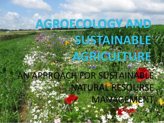 Agro ecosystem PPT (M.sc Zoology third semester) | PPT