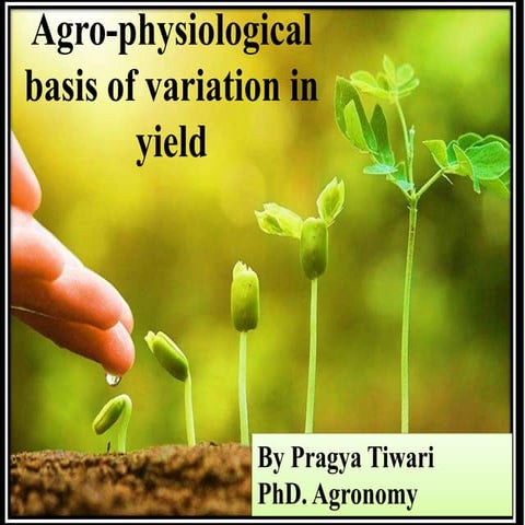 Agro-physiological basis of variation in yield.pptx