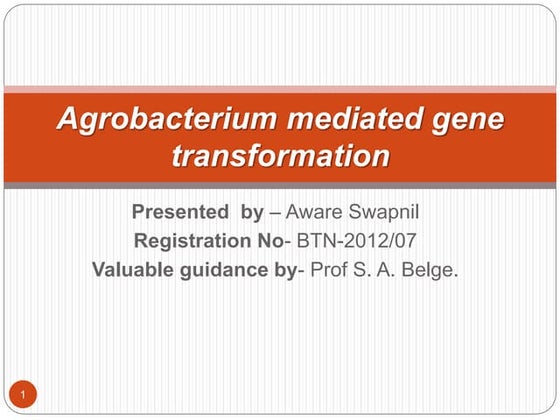 Agrobacterium mediated transformation | PPT