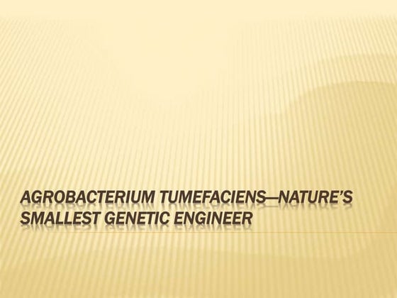 Ti plasmid as a vector, | PPTX | Biotech and Biomedical Industry ...