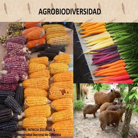 AGROBIODIVERSIDAD AURA.ppt