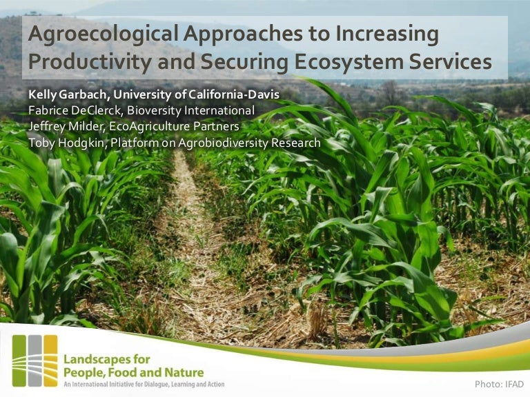 Agroecological Approaches to Increasing Productivity and Securing Eco… Agroecological Approaches to Increasing Productivity and Securing Eco…